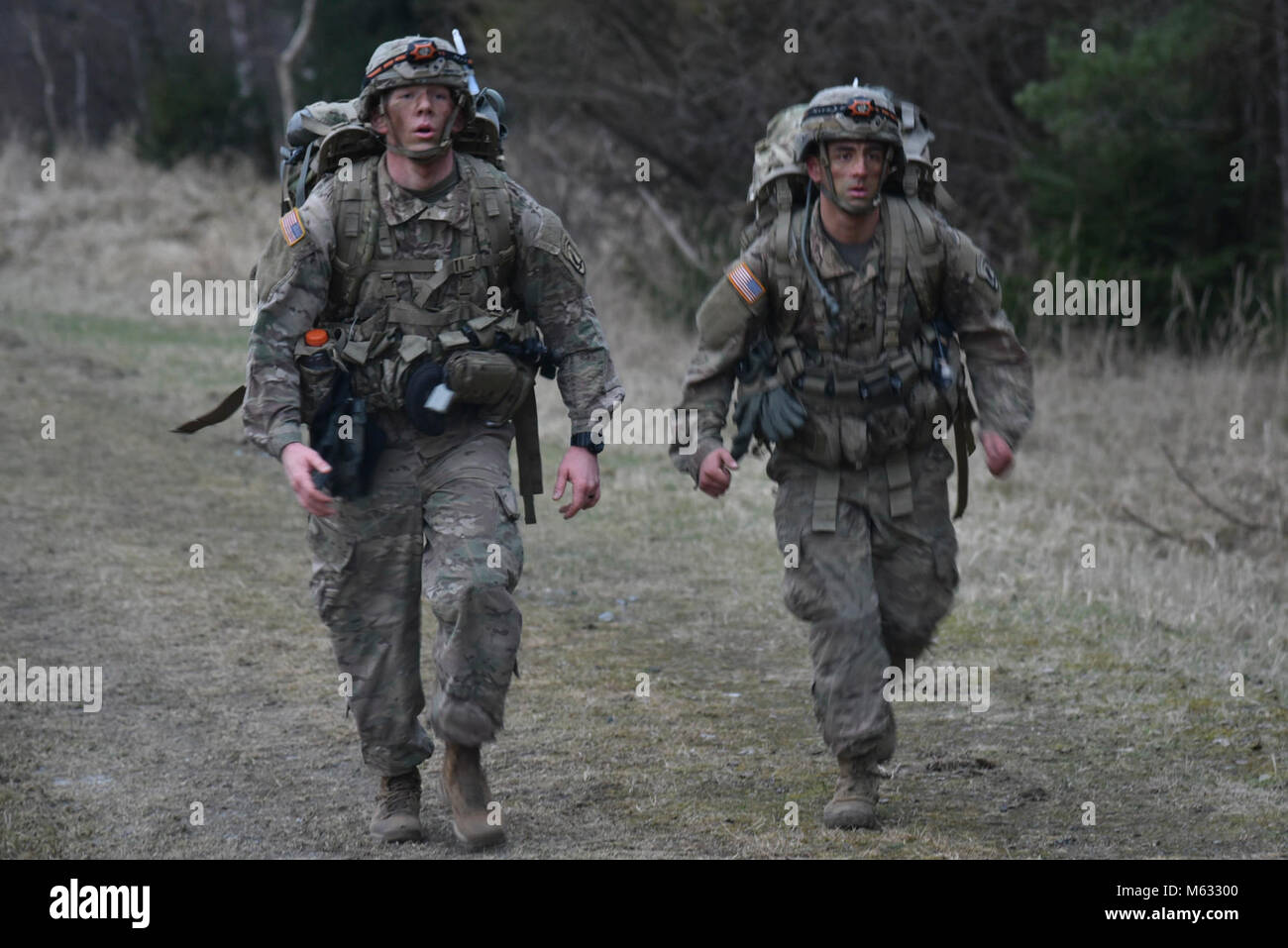319th airborne field artillery regiment hi-res stock photography and ...