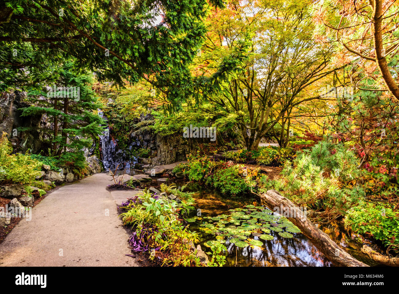 a path in a park between a pond and a waterfall near a stone wall ...