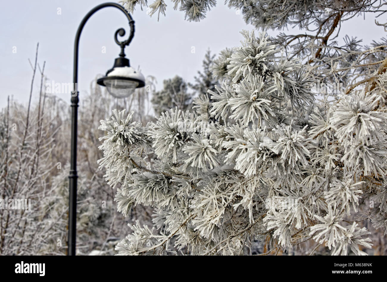 Snowy street lamp on a clear winter day. Vintage style. Focs on the ...