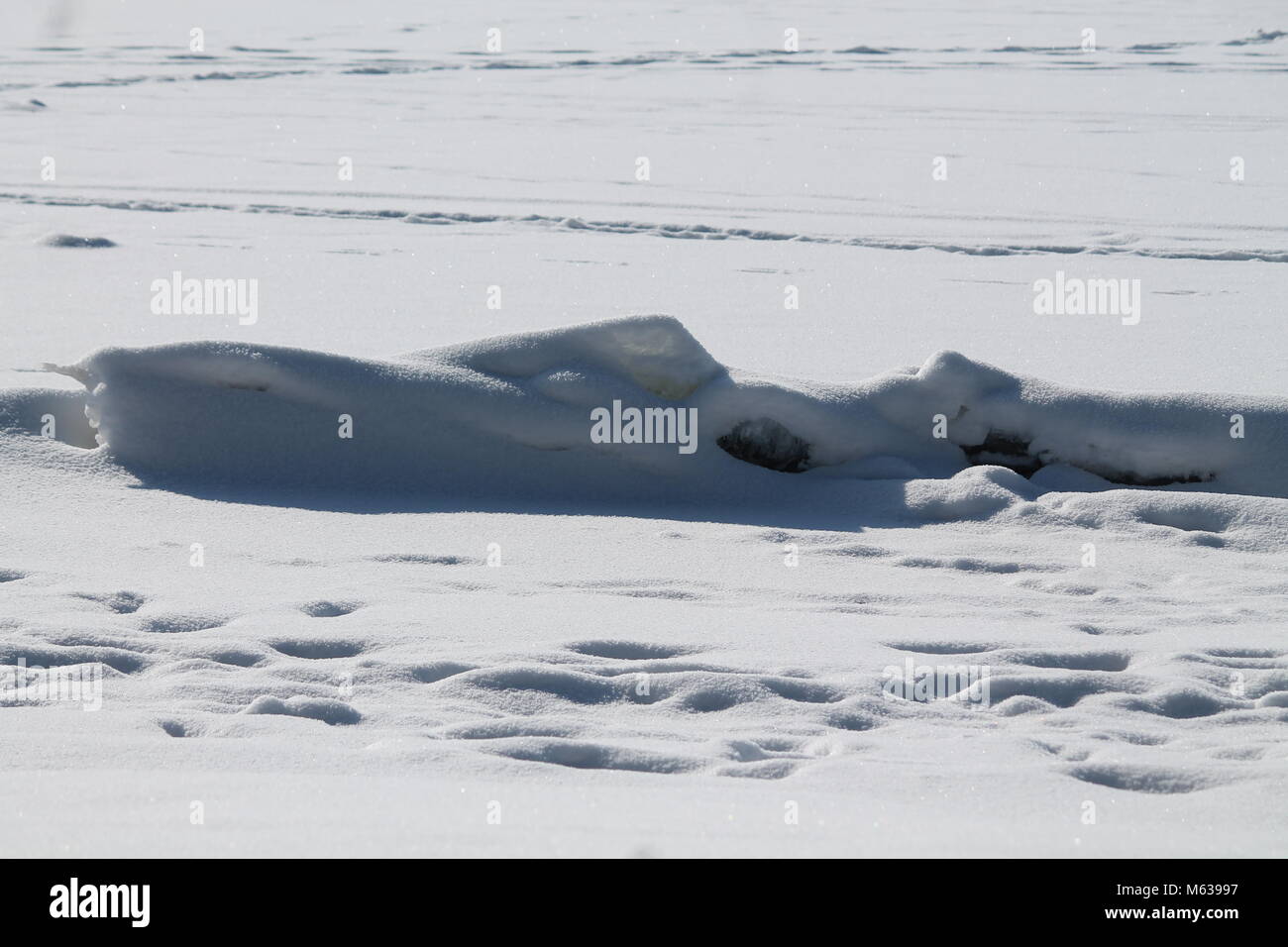 Snow land art nature sculpture hi-res stock photography and images - Alamy