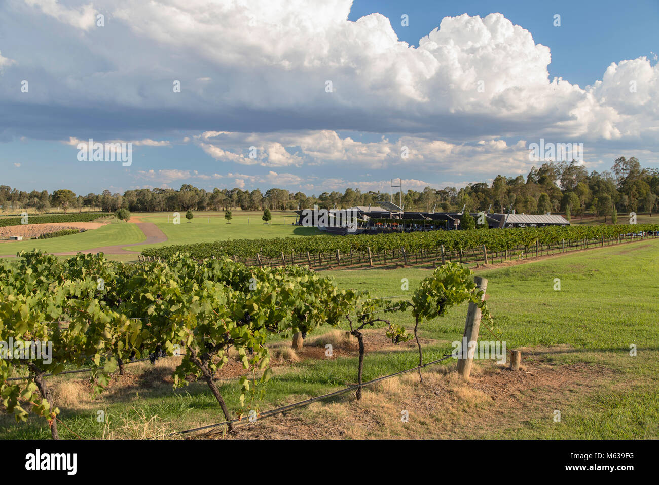 Roche estate australia hi-res stock photography and images - Alamy
