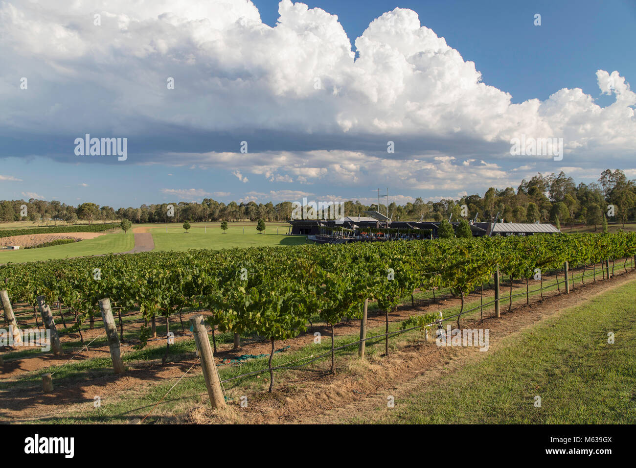 Roche estate australia hi-res stock photography and images - Alamy