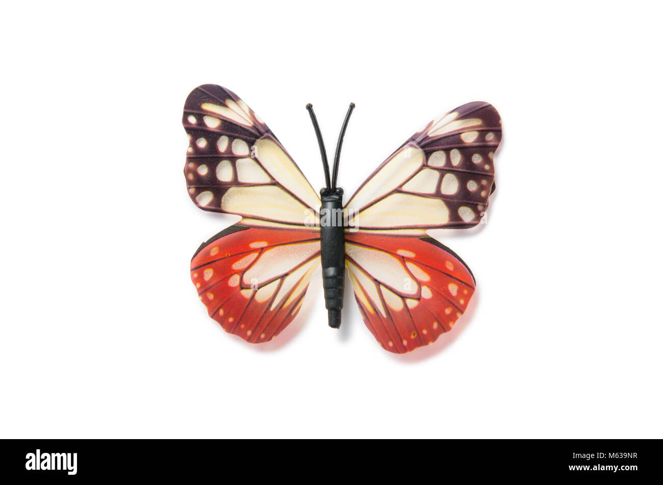Colourful butterfly isolated on white background Stock Photo - Alamy
