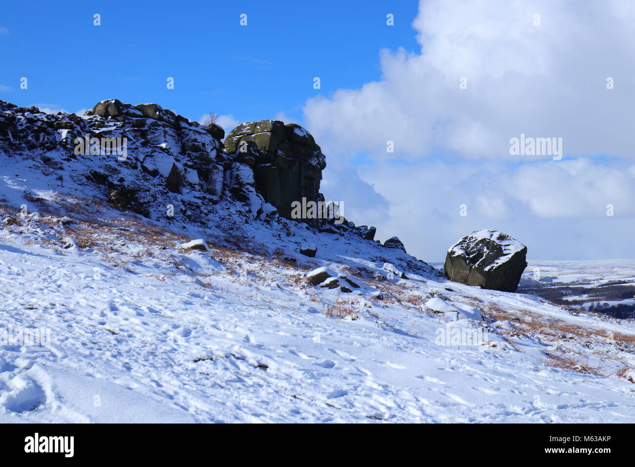 Cow n calf rocks ilkley High Resolution Stock Photography and Images ...