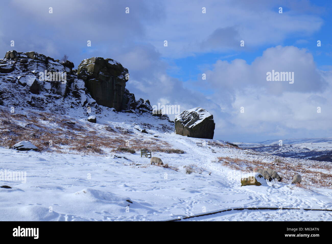 Cow and calf rocks ilkley moor winter hi-res stock photography and ...