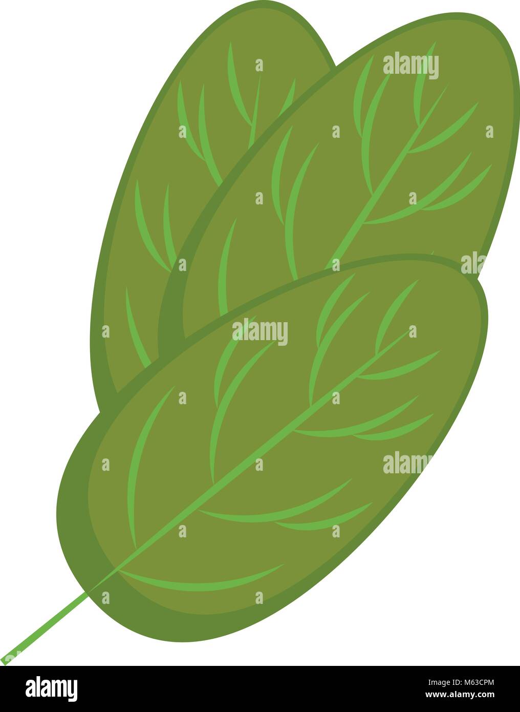 lettuce leaf icon over white background vector illustration Stock ...