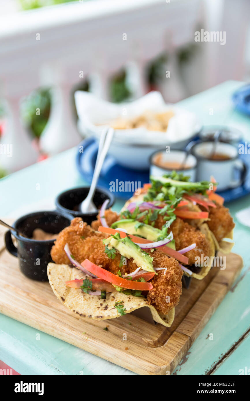Traditional mexican taco plate Stock Photo - Alamy