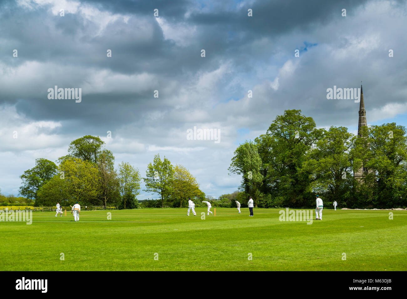Cricket field grass hi-res stock photography and images - Alamy