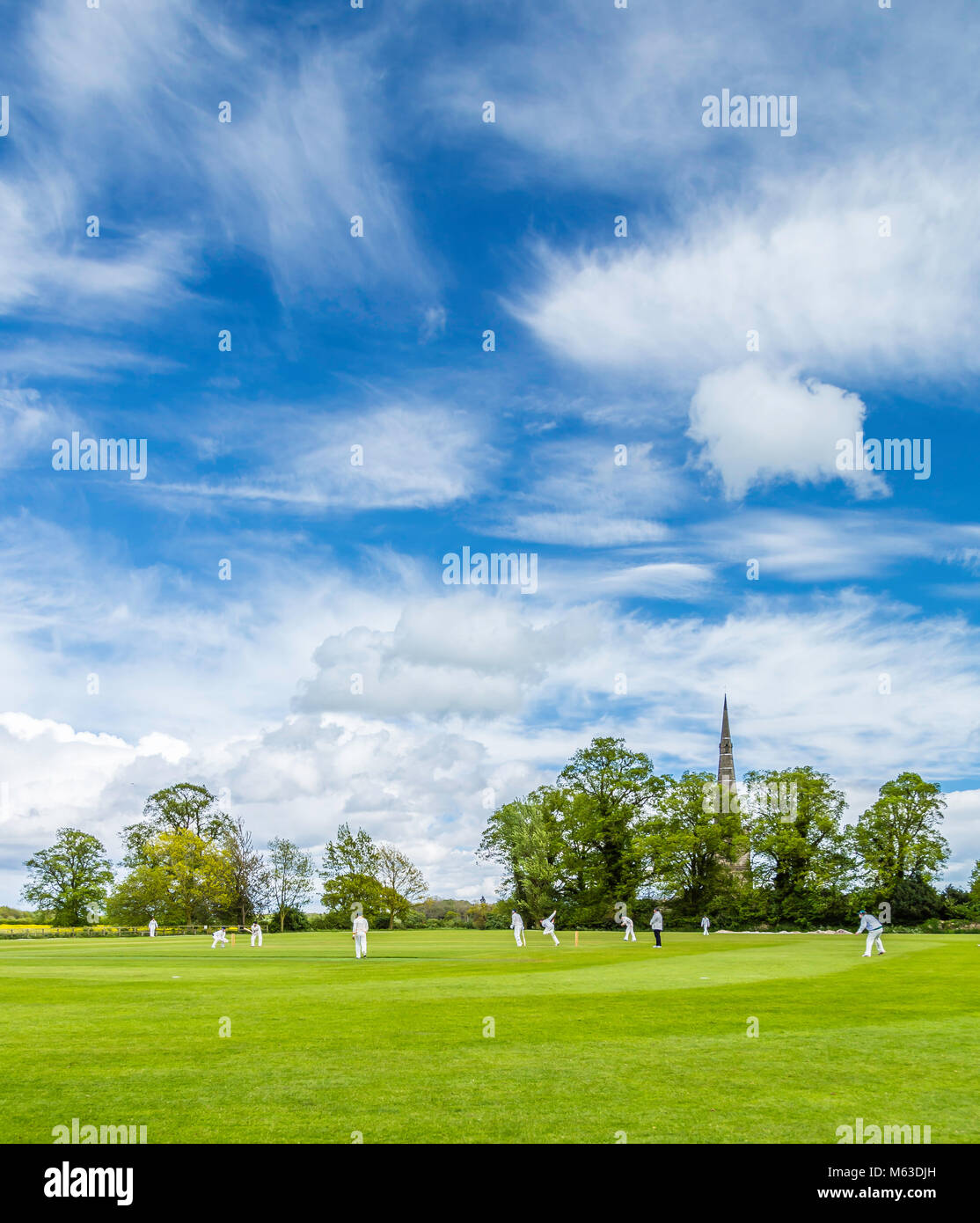 Playing cricket on a village field Stock Photo - Alamy