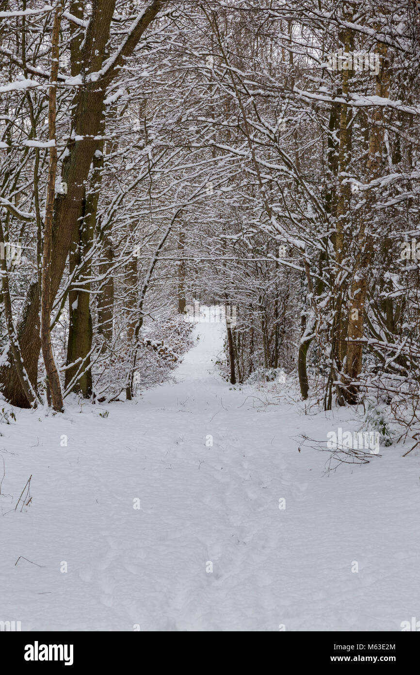 Pathway through common hi-res stock photography and images - Alamy