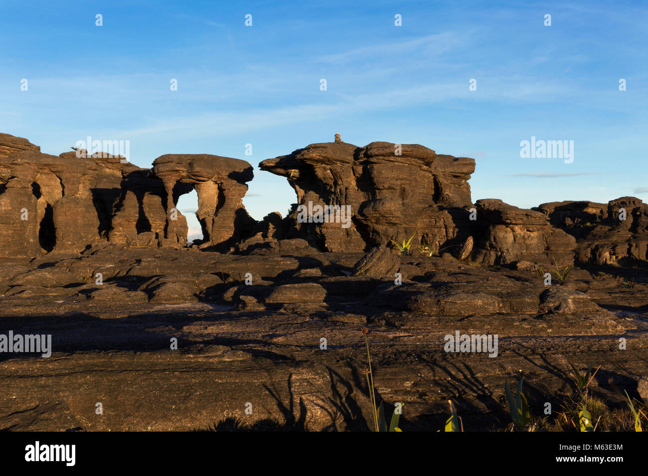 Mount roraima national park hi-res stock photography and images - Alamy