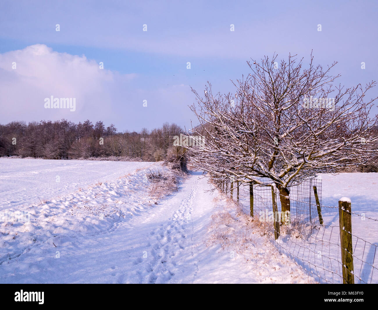 Great Bardfield, Braintree. 28th Feb, 2018. UK Weather: Snow has fallen ...