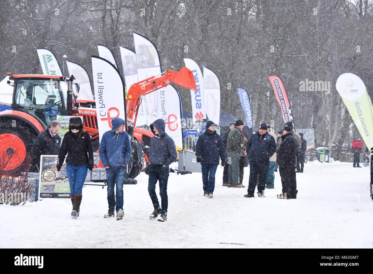 Beast from the east scotland hi-res stock photography and images - Alamy