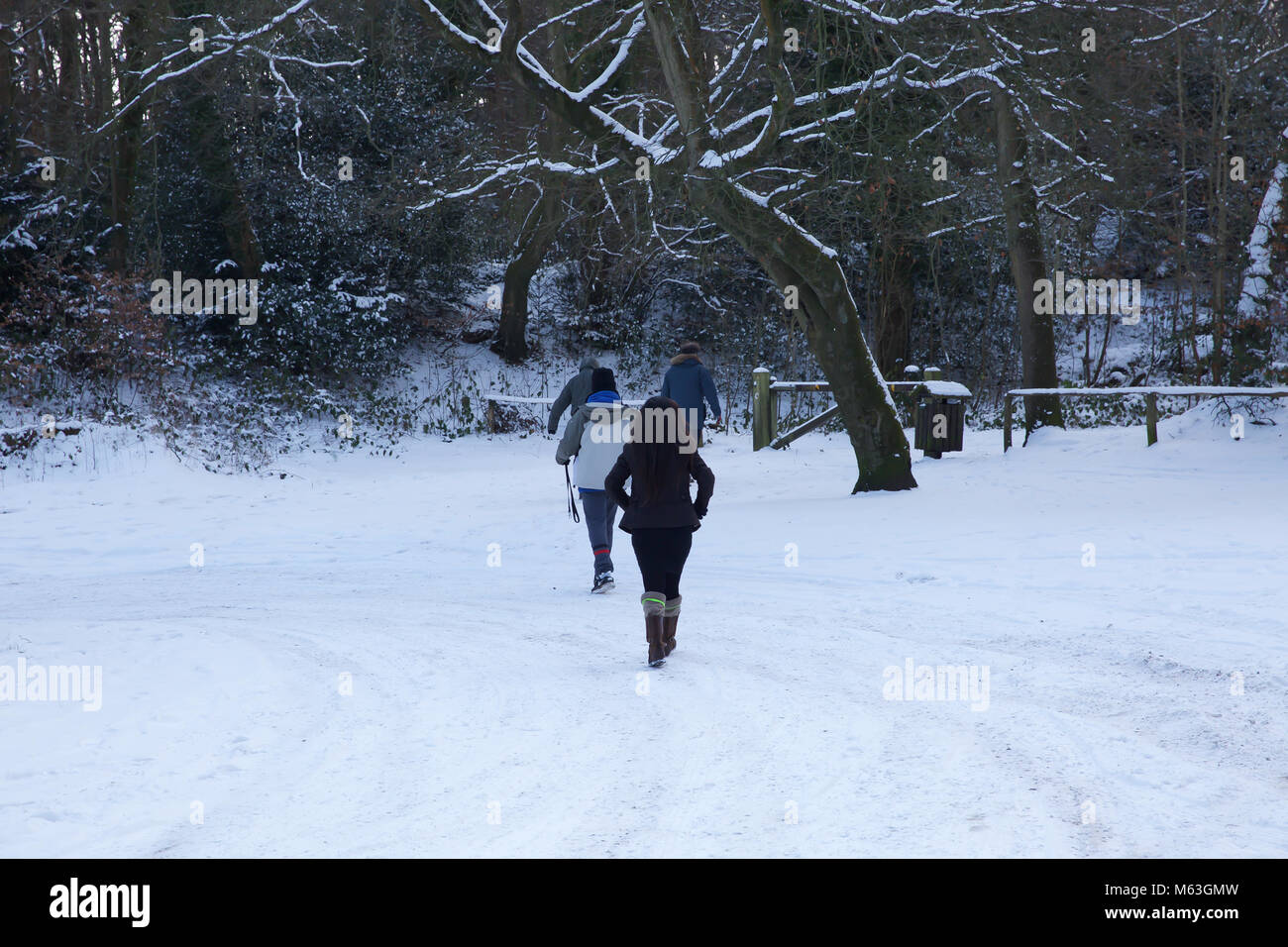 Keston,UK,28th February 2018,Ducks walk across the frozen pond in ...