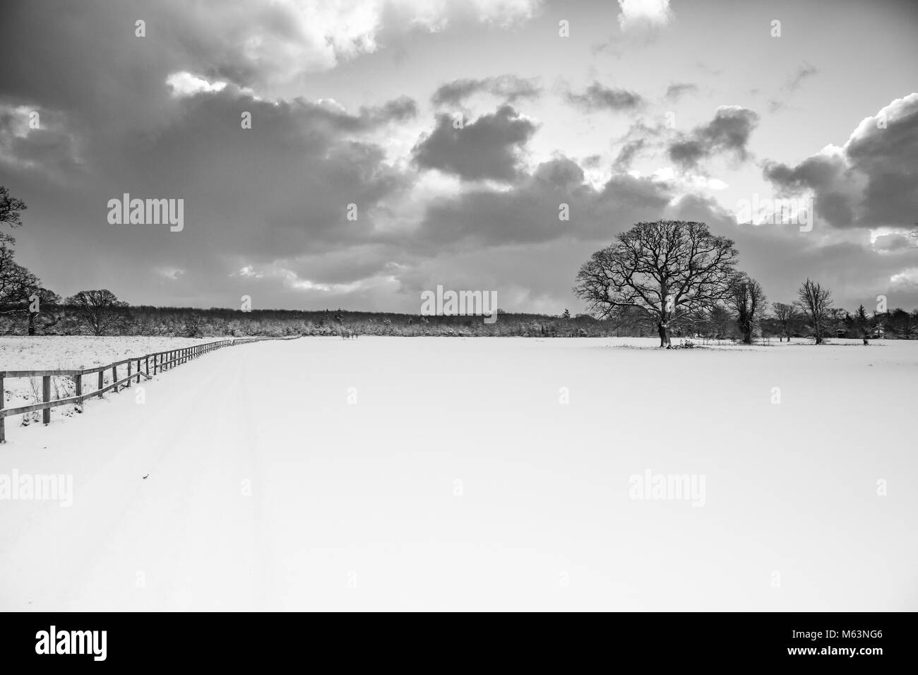 What to do in castletown Black and White Stock Photos & Images - Alamy