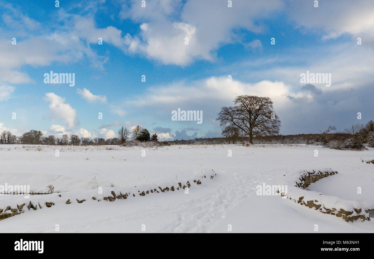 Celbridge, Kildare, Ireland. 28 Feb 2018: Grounds in Castletown Ireland ...