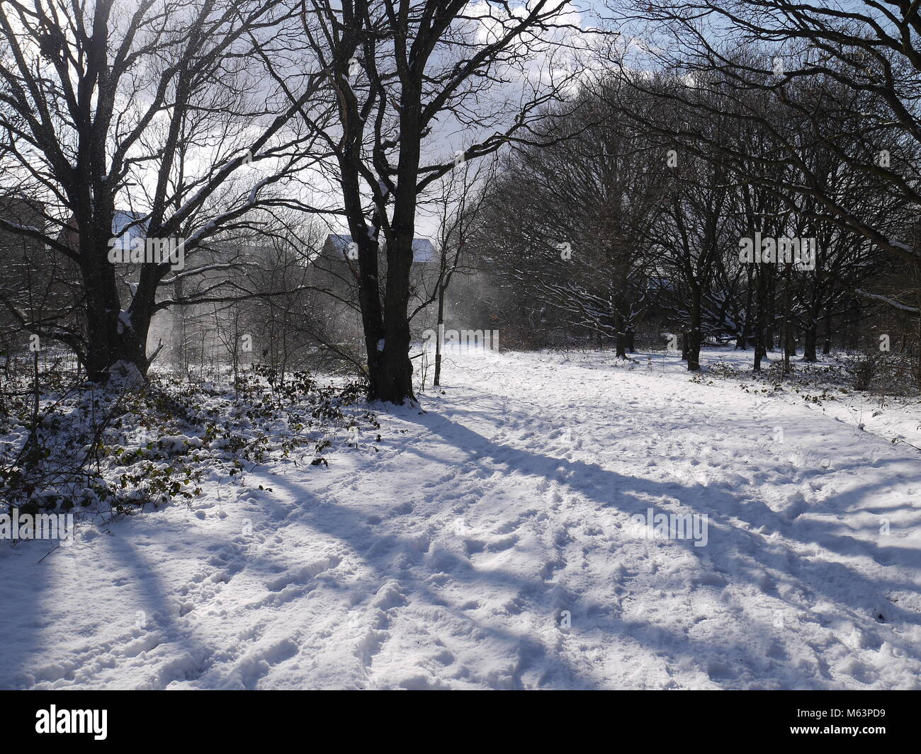 Repton park claybury hi-res stock photography and images - Alamy