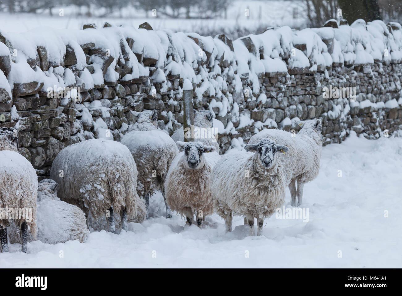 6 inches of snow hi-res stock photography and images - Alamy
