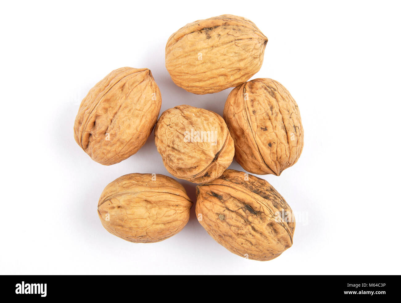 Walnuts in shell on white Stock Photo - Alamy