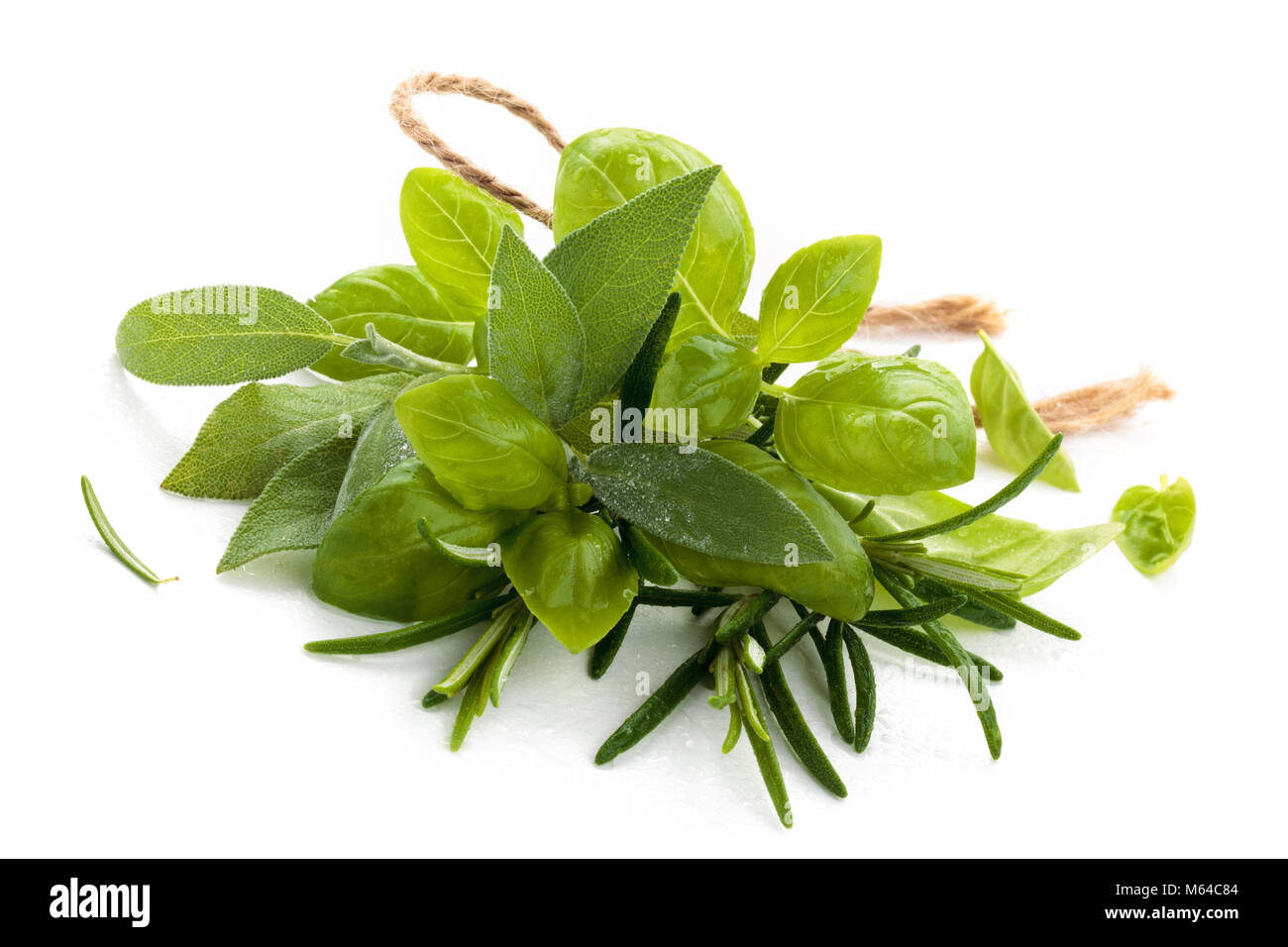 Bunch of basil, rosemary and sage. Isolated on white background Stock ...