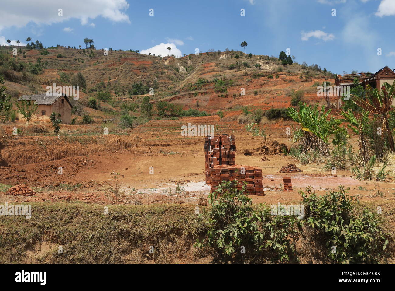 Colorful nature of Madagascar island, fresh countryside of the island ...
