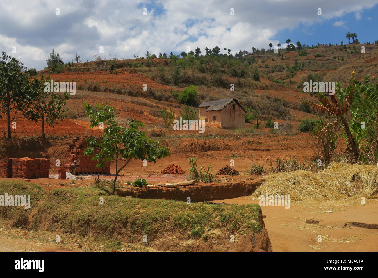 Colorful nature of Madagascar island, fresh countryside of the island ...