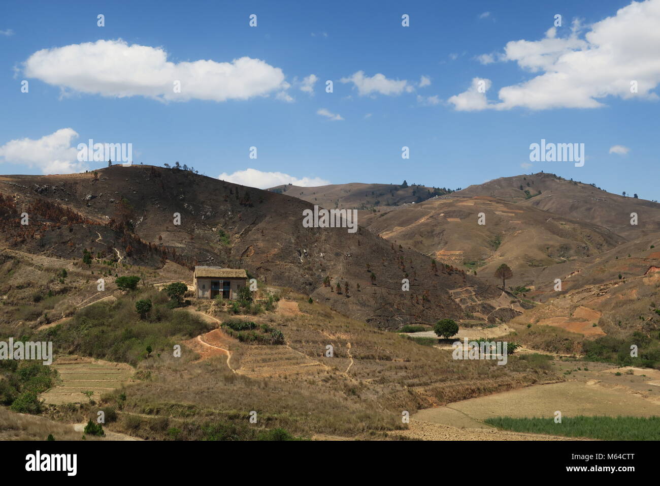Colorful nature of Madagascar island Stock Photo - Alamy