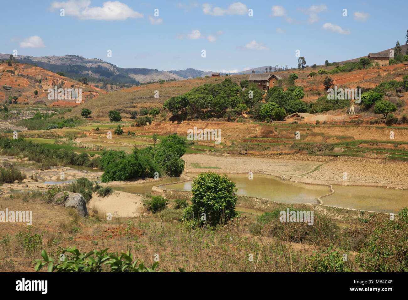 Colorful nature of Madagascar island, fresh countryside of the island ...
