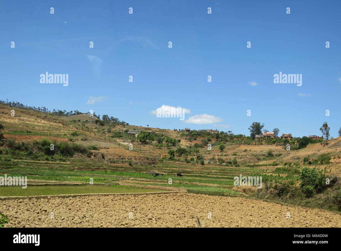 Colorful nature of Madagascar island Stock Photo - Alamy