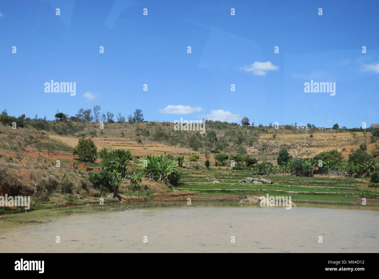 Colorful nature of Madagascar island Stock Photo - Alamy