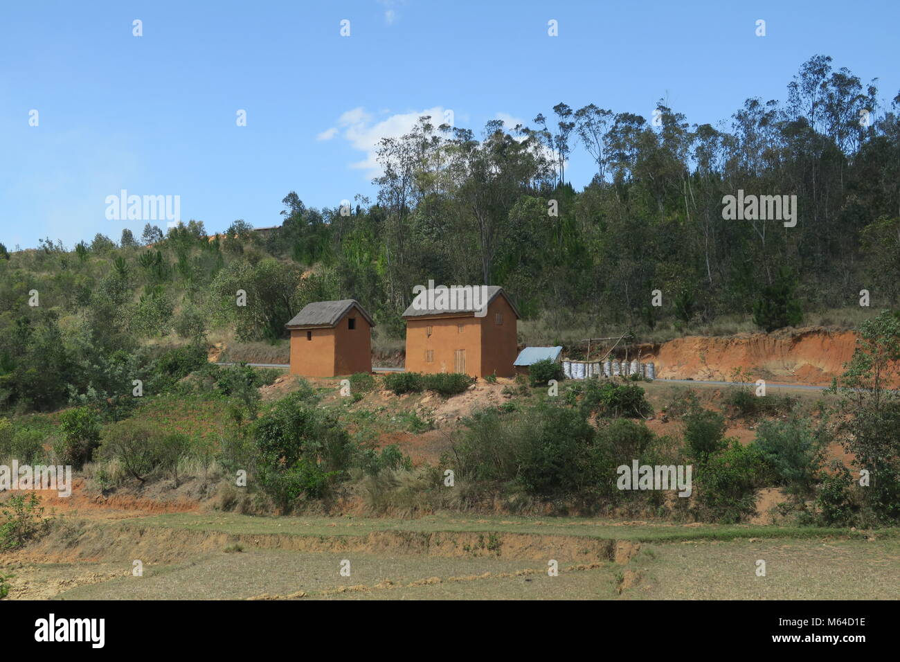 Colorful nature of Madagascar island, fresh countryside of the island ...