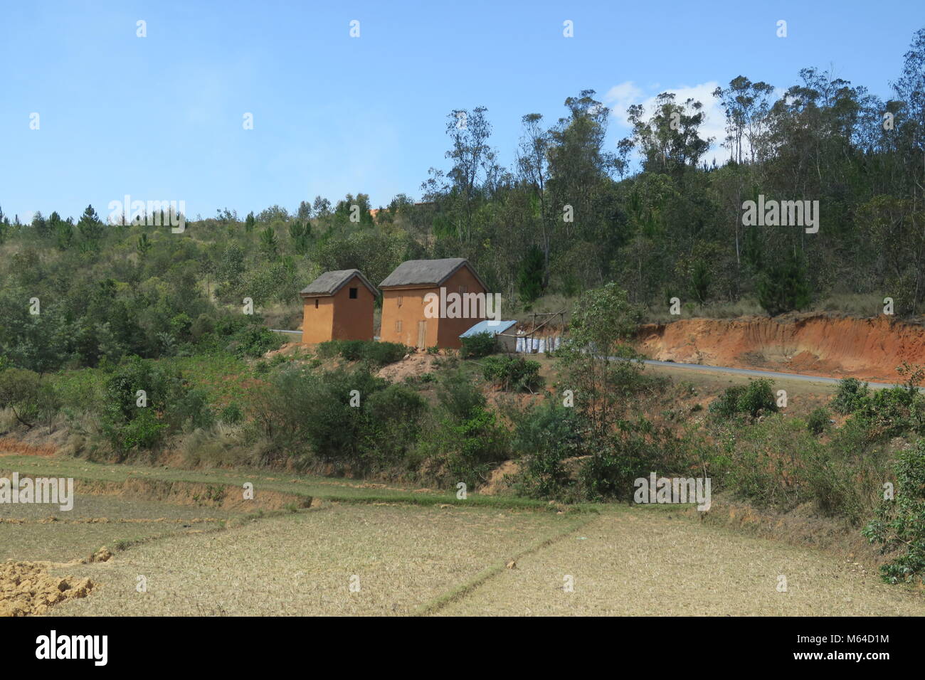 Colorful nature of Madagascar island, fresh countryside of the island ...