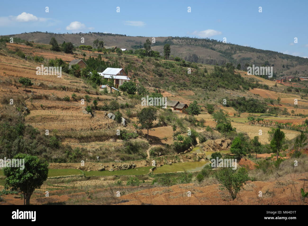 Colorful nature of Madagascar island Stock Photo - Alamy
