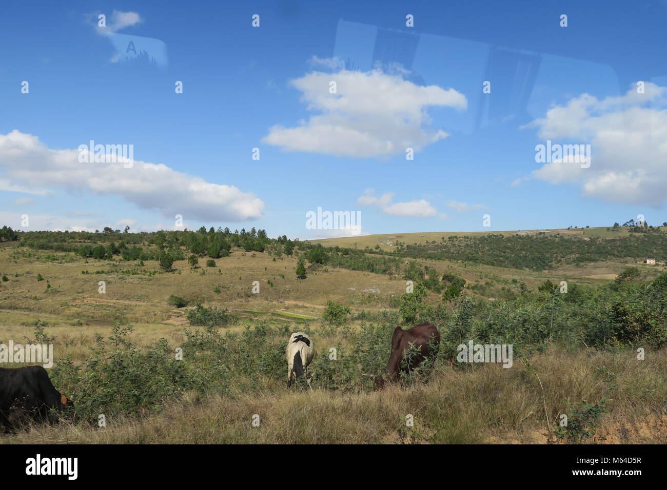 Colorful nature of Madagascar island, fresh countryside of the island ...