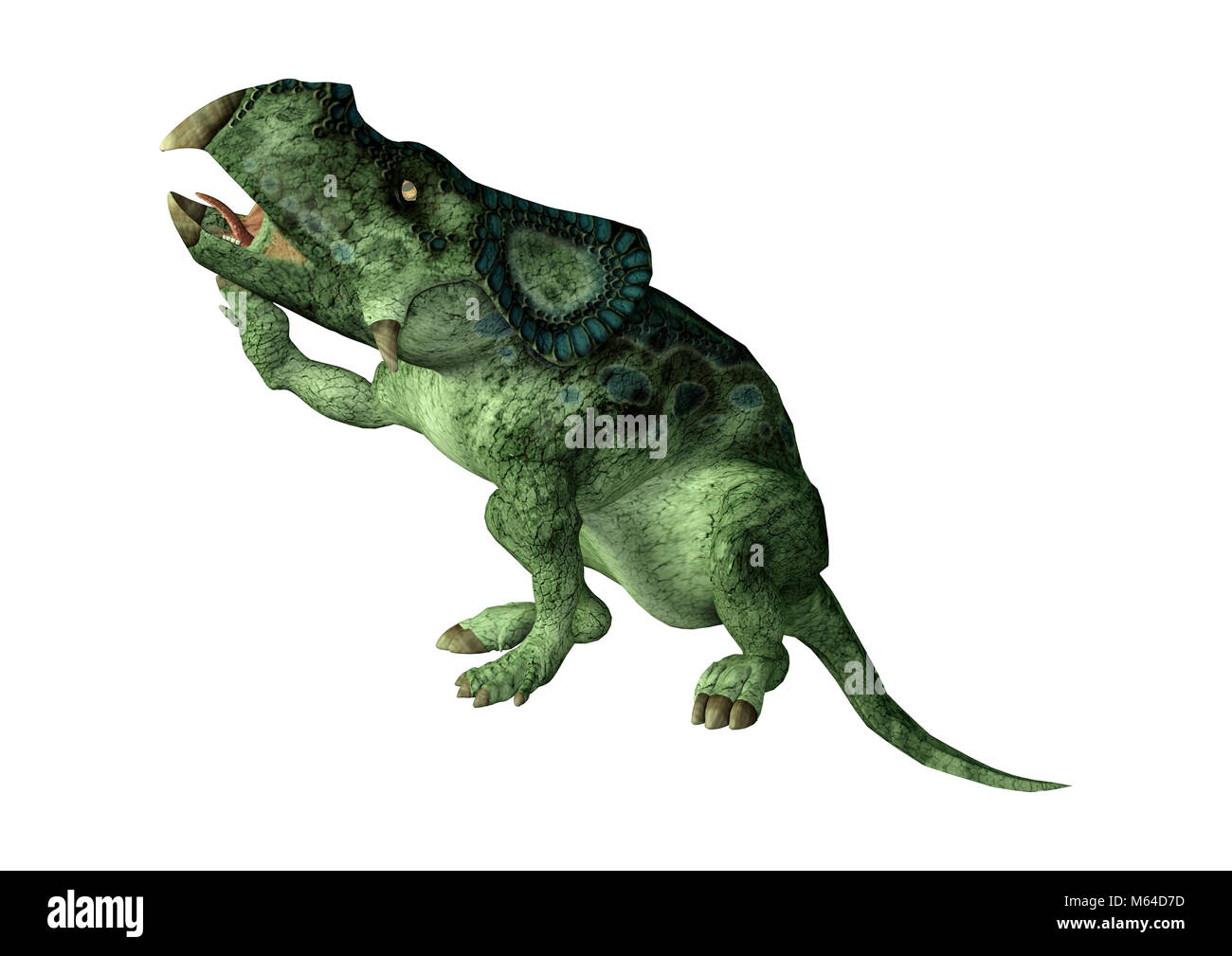 3D rendering of a dinosaur Protoceratops isolated on white background ...