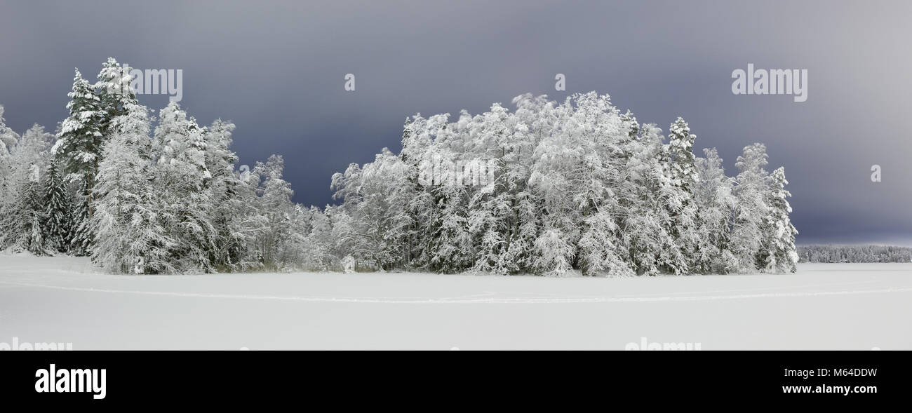 Snow covered forest and frozen lake at night Stock Photo - Alamy