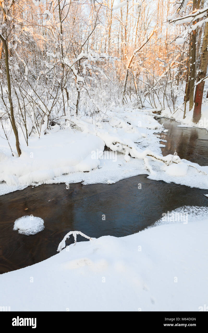 White covered stream with stream and forest hi-res stock photography ...
