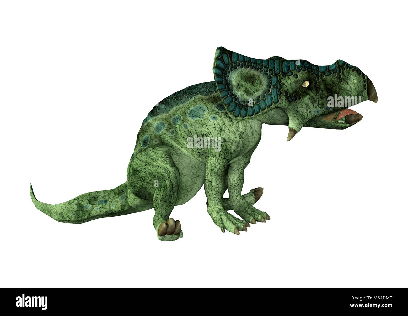 3D rendering of a dinosaur Protoceratops isolated on white background ...