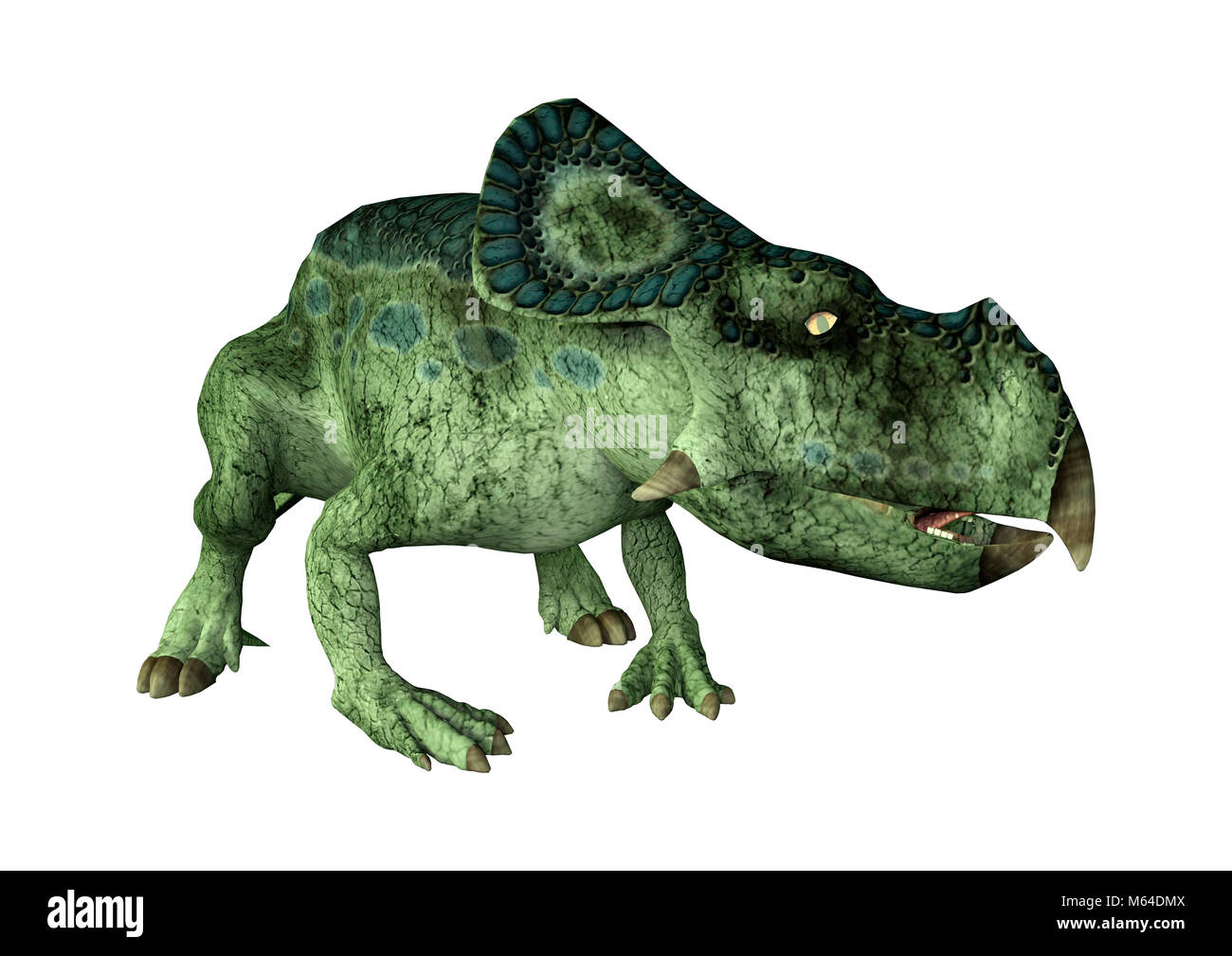 3D rendering of a dinosaur Protoceratops isolated on white background ...