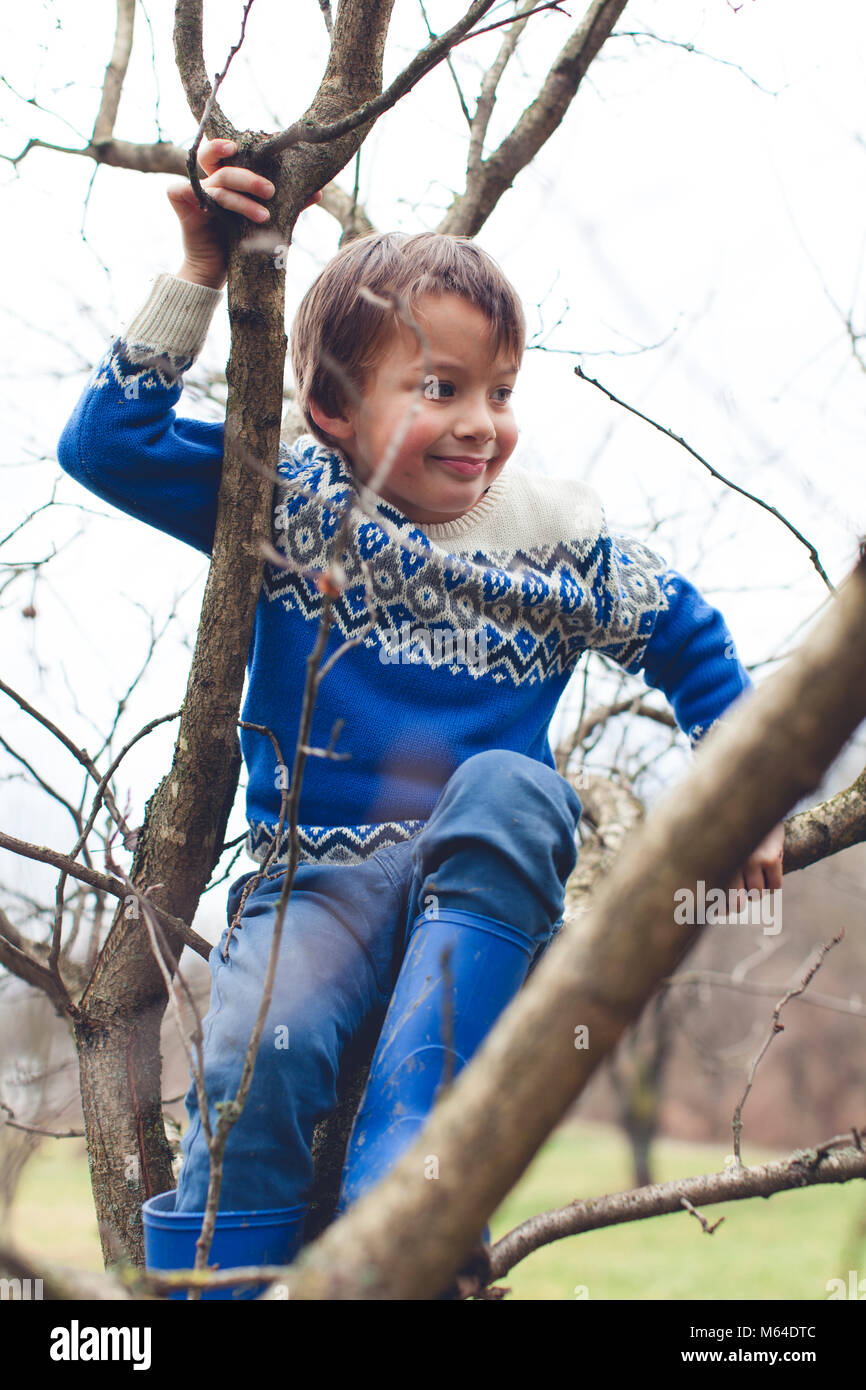young cool boy is climbing on tree Stock Photo - Alamy