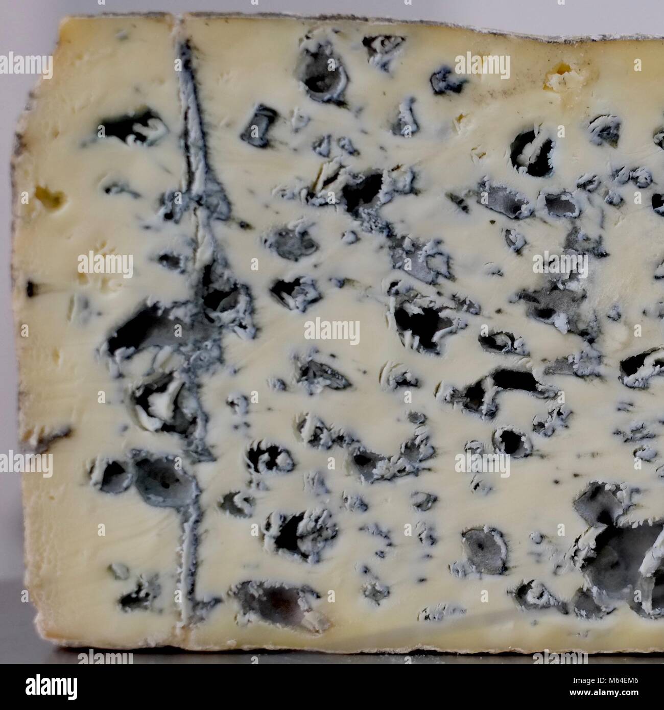 The perl hi-res stock photography and images - Alamy