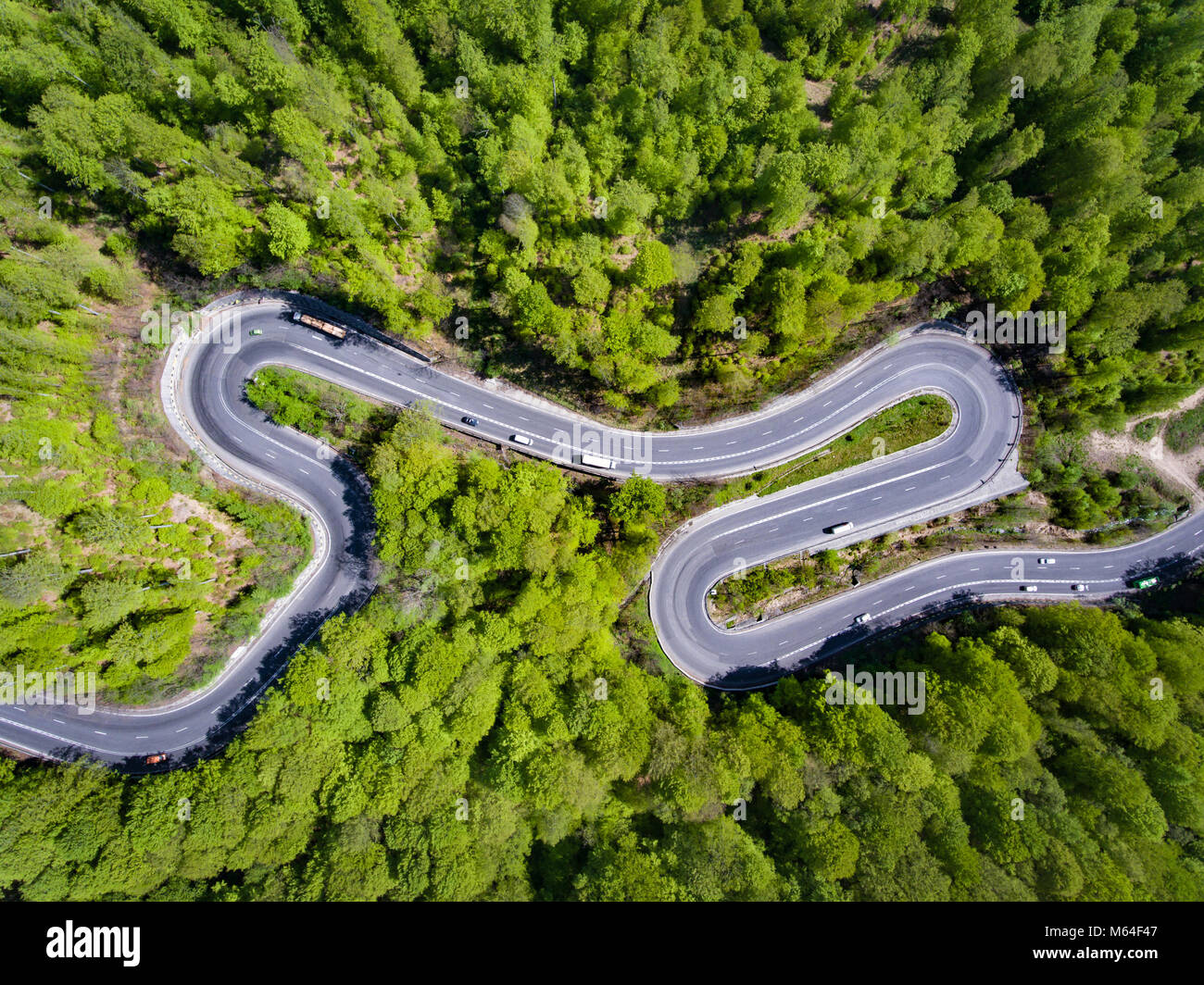 Curved road green eco forest hi-res stock photography and images - Alamy