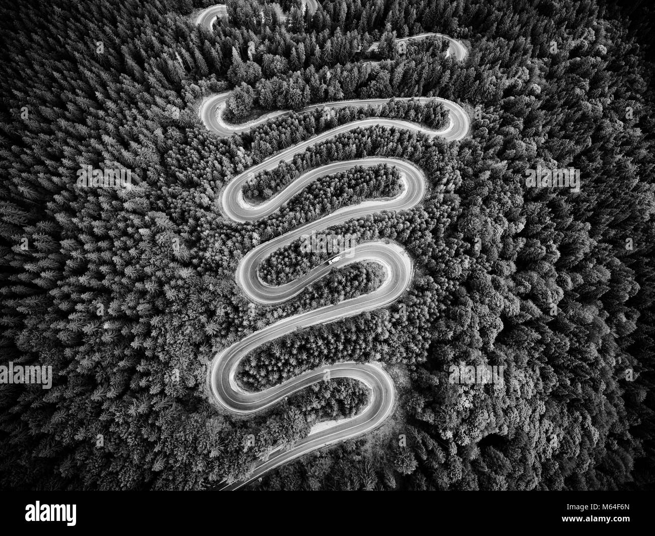 Winding Path Black And White