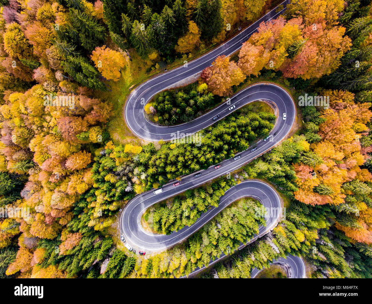 Winding Road surrounded by a colourfull trees in the forest Stock Photo ...