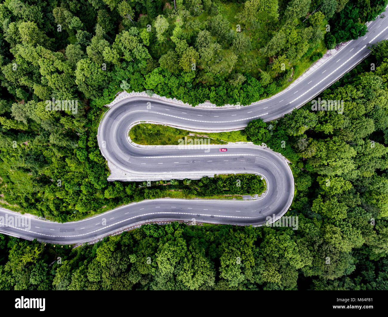 Curved bending road in the forest Stock Photo - Alamy