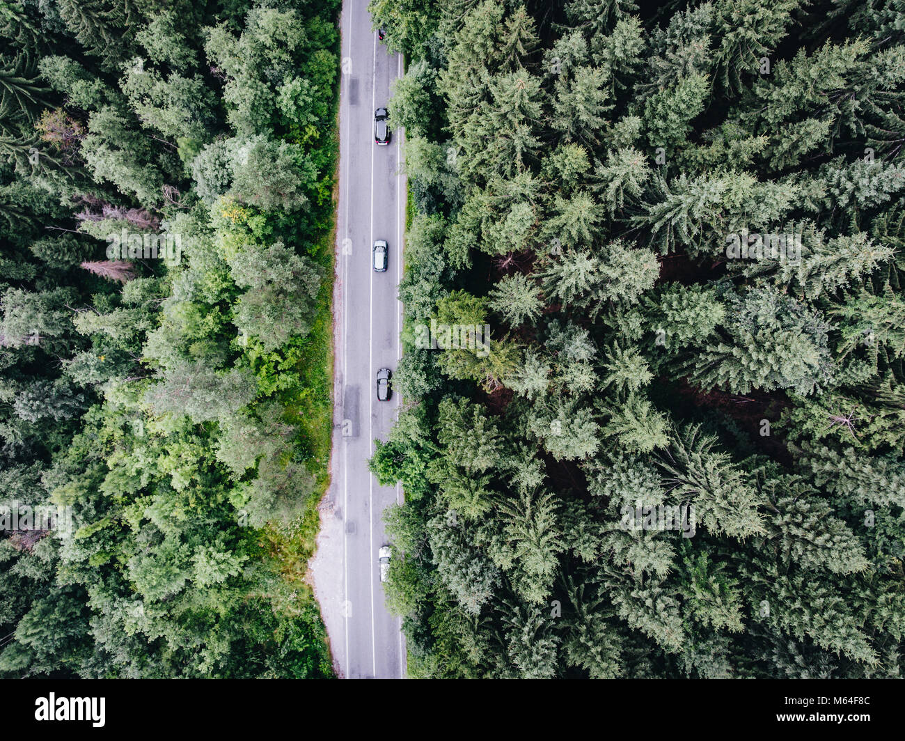 Cars on road in the forest aerial view Stock Photo - Alamy