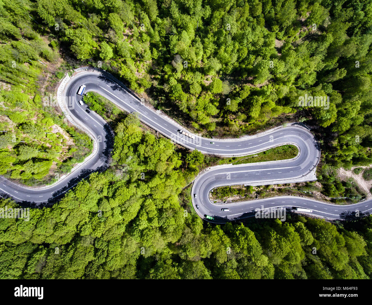 Car on winding road trough the forest, Transilvania, Romania Stock ...