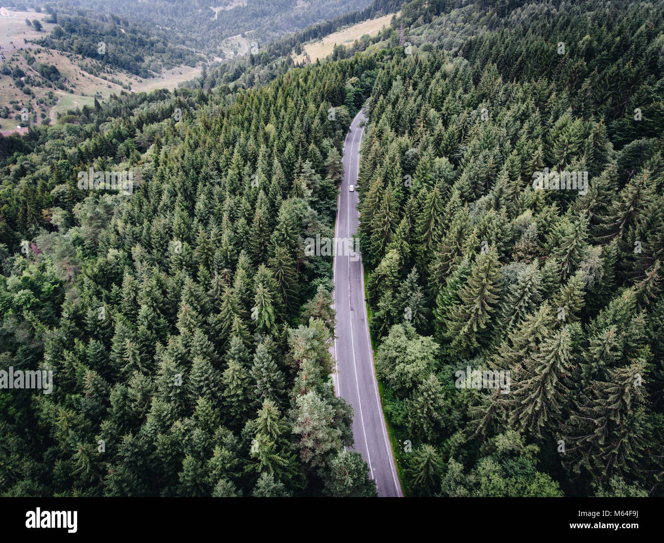 Car on forest path beautiful hi-res stock photography and images - Alamy