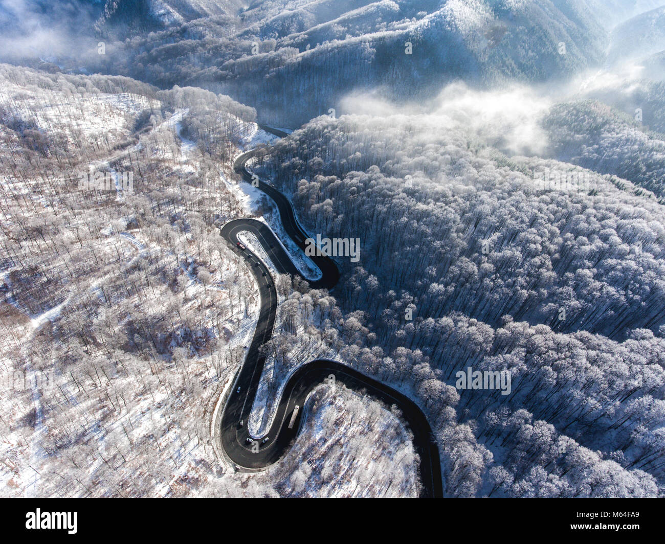 Aerial drone view of a curved winding road through the forest high up ...