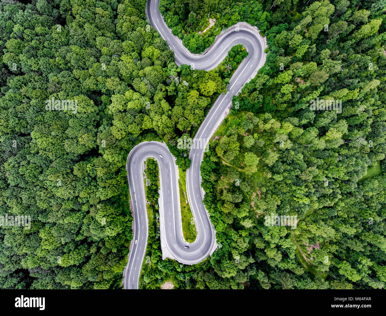 Aerial view of a winding road in the forest in summer time Stock Photo ...